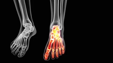 Medical Animation Foot Stock Footage ~ Royalty Free Stock Videos | Pond5