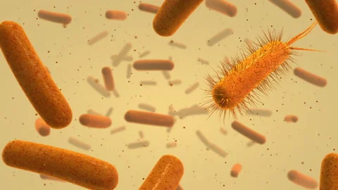 Medical animation of bacteria cells | Stock Video | Pond5