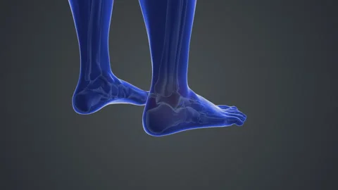 Medical Animation Foot Stock Footage ~ Royalty Free Stock Videos | Pond5