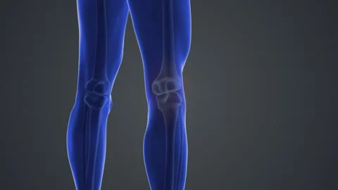 Medical Animation Knee Stock Footage ~ Royalty Free Stock Videos | Pond5