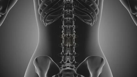Back Pain Animation Stock Videos – Royalty-Free HD & 4K Videos | Pond5