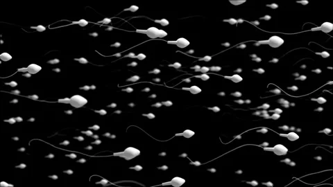 Sperm Animation Stock Footage ~ Royalty Free Stock Videos | Pond5