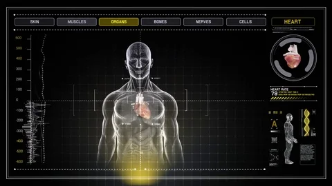 Medical Human Anatomy Scan of the Heart.... | Stock Video | Pond5