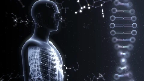 Medical Human Body Skeleton DNA Science ... | Stock Video | Pond5