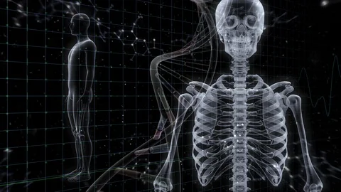 Medical Human Body Skeleton DNA Science ... | Stock Video | Pond5