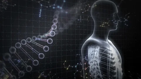 Medical Human Body Skeleton DNA Science ... | Stock Video | Pond5
