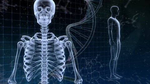 Medical Human Body Skeleton DNA Science ... | Stock Video | Pond5