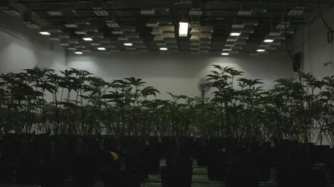 Indoor Operations Stock Video Footage | Royalty Free Indoor Operations ...