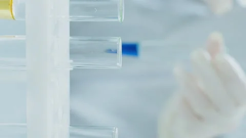 Portrait Samples Stock Videos – Royalty-Free HD & 4K Videos