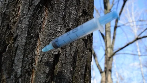 Medical syringe sticking out of a tree | Stock Video | Pond5