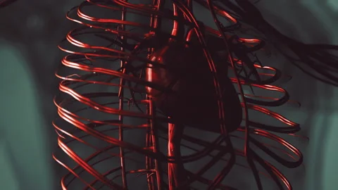 Medically accurate animation of Heart wi... | Stock Video | Pond5