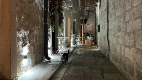 Medieval European city at night - stray ... | Stock Video | Pond5