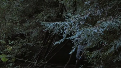 Take A Piss Stock Videos – Royalty-Free HD & 4K Videos