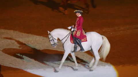 Medieval knight on a white horse. Dance ... | Stock Video | Pond5