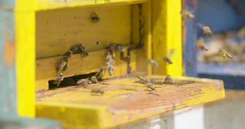 Medium angle static slow motion shot, ho... | Stock Video | Pond5