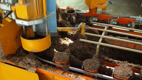 10 Seconds Stock Videos – Royalty-Free HD & 4K Videos