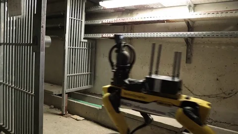 Meet 'Perceval', the robot dog helping P... | Stock Video | Pond5