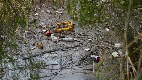 Melbournes yarra river floating rubbish ... | Stock Video | Pond5