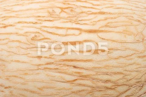 Melon skin texture close up. Summer background ~ Hi Res #229803048