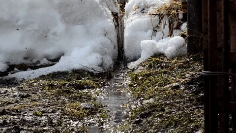 Melt water and drops | Stock Video | Pond5