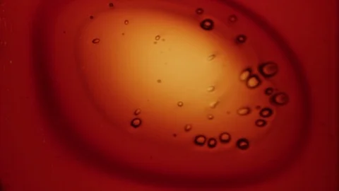 Movie Projector Border Stock Videos – Royalty-Free HD & 4K Videos