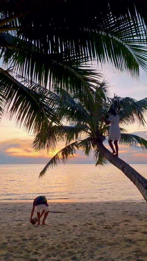 Men Watching Bikinis Stock Videos – Royalty-Free HD & 4K Videos | Pond5