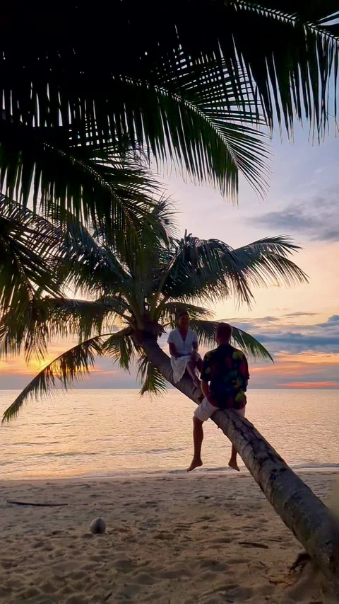 Men Watching Bikinis Stock Videos – Royalty-Free HD & 4K Videos | Pond5