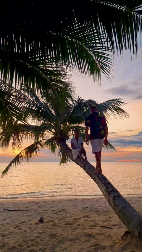 Men Watching Bikinis Stock Videos – Royalty-Free HD & 4K Videos | Pond5