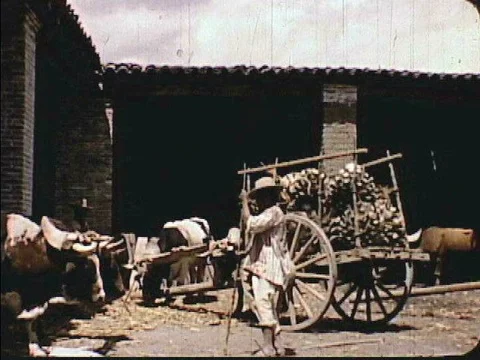 Women Men Together Stock Videos – Royalty-Free HD & 4K Videos | Page 6