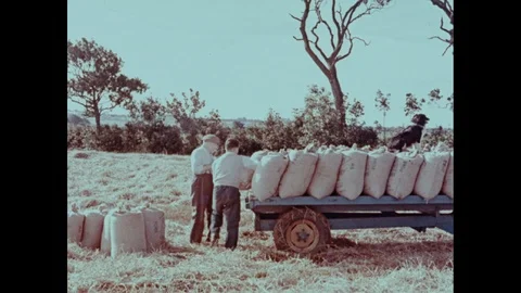 Flatbed Trailer Stock Footage ~ Royalty Free Stock Videos | Pond5