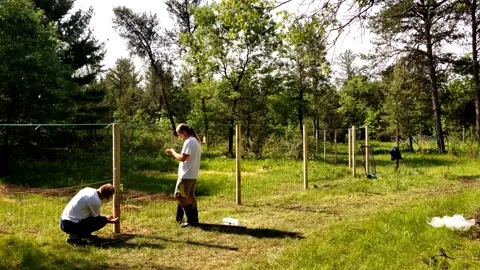 Men build fence around currant and goose... | Stock Video | Pond5