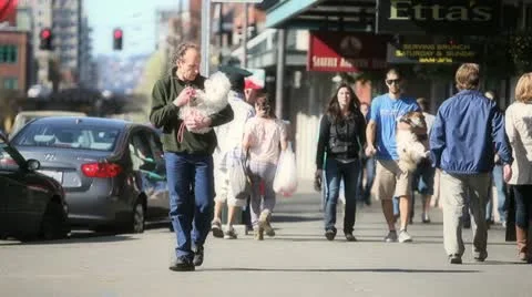 Men With Dogs Stock Videos – Royalty-Free HD & 4K Videos