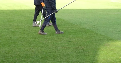 Men check football field. Sport and socc... | Stock Video | Pond5