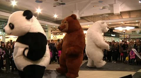 Bears Dancing Stock Video Footage | Royalty Free Bears Dancing Videos | Pond5