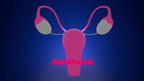 Woman Genitalia Stock Videos – Royalty-Free HD & 4K Videos