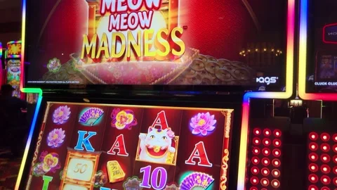 Meow Meow Madness Slot Machine Casino Ga... | Stock Video | Pond5