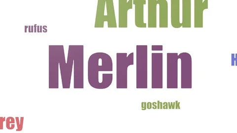 Merlin Word Cloud Animated On White Back... | Stock Video | Pond5