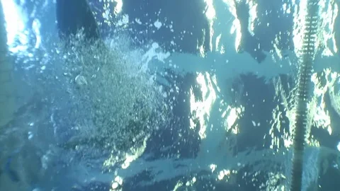 Girl Swimming Underwater Stock Video Footage | Royalty Free Girl Swimming Underwater Videos | Page 6