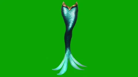 Mermaid Illustration Stock Videos – Royalty-Free HD & 4K Videos | Pond5