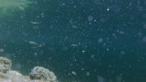 Mesmerizing underwater view of floating ... | Stock Video | Pond5