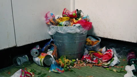 Overflowing Trash Can Stock Videos – Royalty-Free HD & 4K Videos