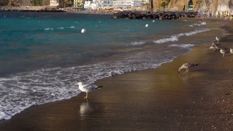 Di Meta Stock Videos – Royalty-Free HD & 4K Videos | Pond5