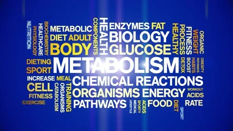 Metabolism animated word cloud,animation... | Stock Video | Pond5