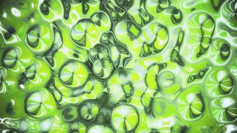 Dark Green Shadow Stock Videos – Royalty-Free HD & 4K Videos