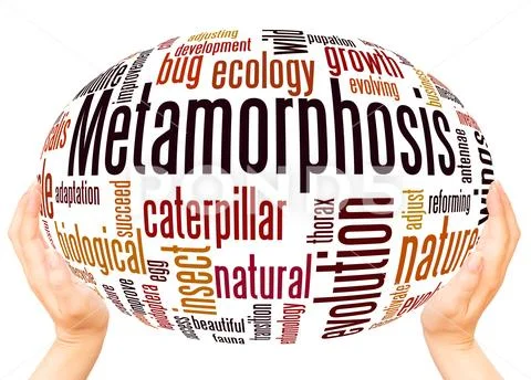 Photograph: Metamorphosis word cloud hand sphere concept #96705837