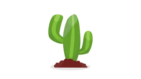 mexican culture cactus plant animation | Stock Video | Pond5