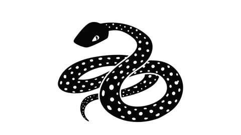 Mexican kingsnake icon animation | Stock Video | Pond5