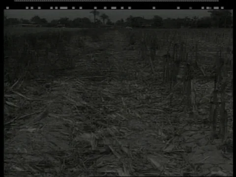 MEXICO: RURAL MEXICO HIT BY SEVERE DROUG... | Stock Video | Pond5