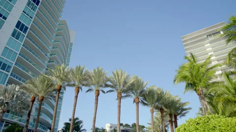 Miami Beach 8k scene backgrounds. Video ... | Stock Video | Pond5