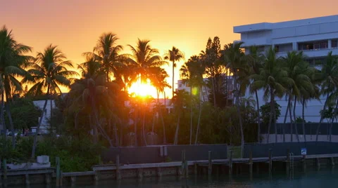 miami beach gulf bridge palm tree sunset... | Stock Video | Pond5